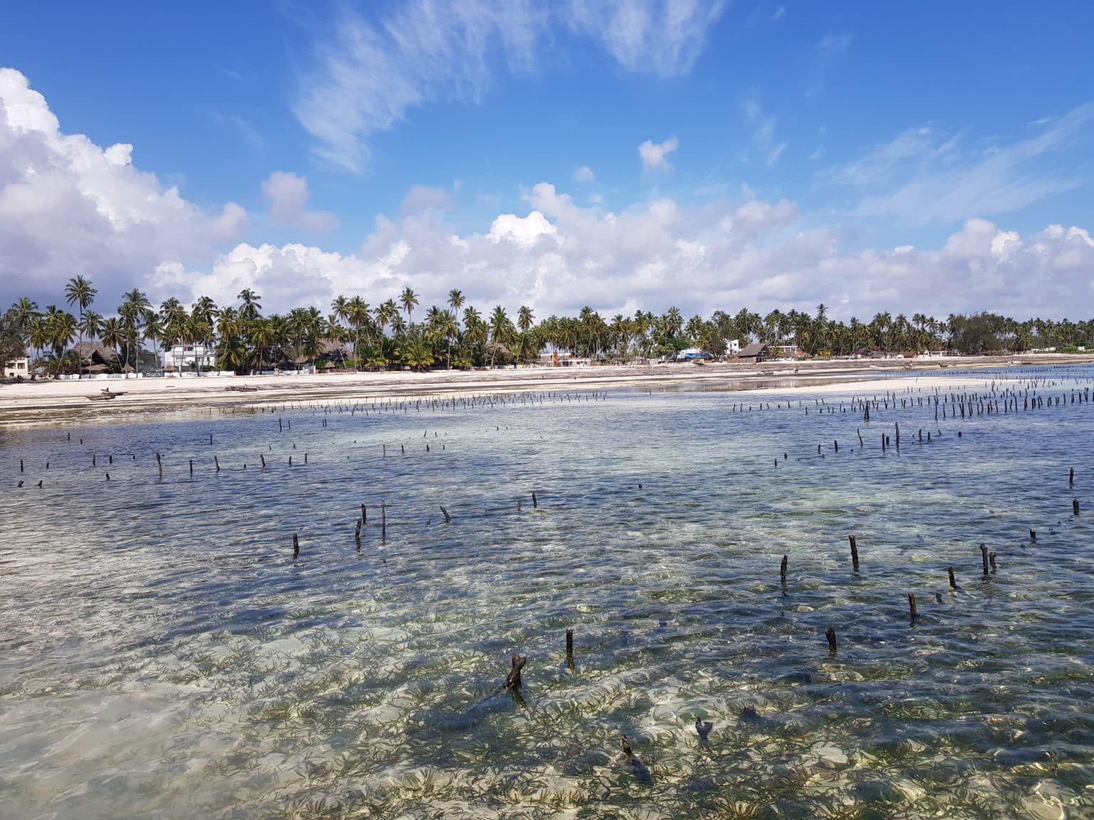 Traumdestination Sansibar - christinas_travelworld